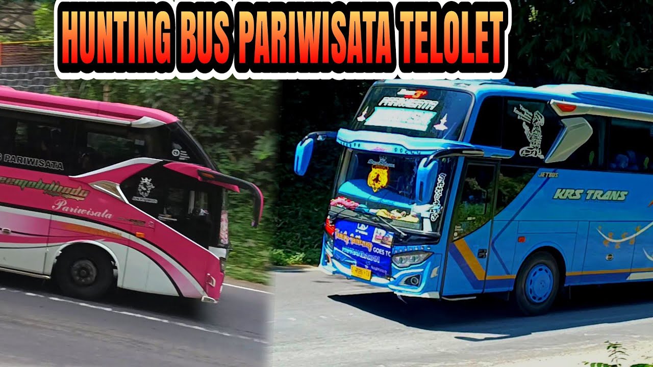 Hunting Bus Pariwisata Telolet - YouTube