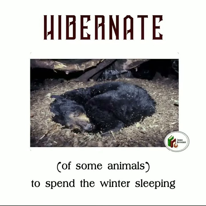 Hibernate Meaning | Modern Dictionary - YouTube