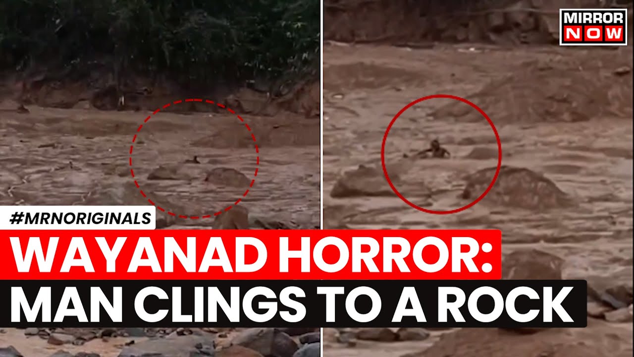 Wayanad Destruction: Video Of Man Clinging To Rock To Save His Life ...