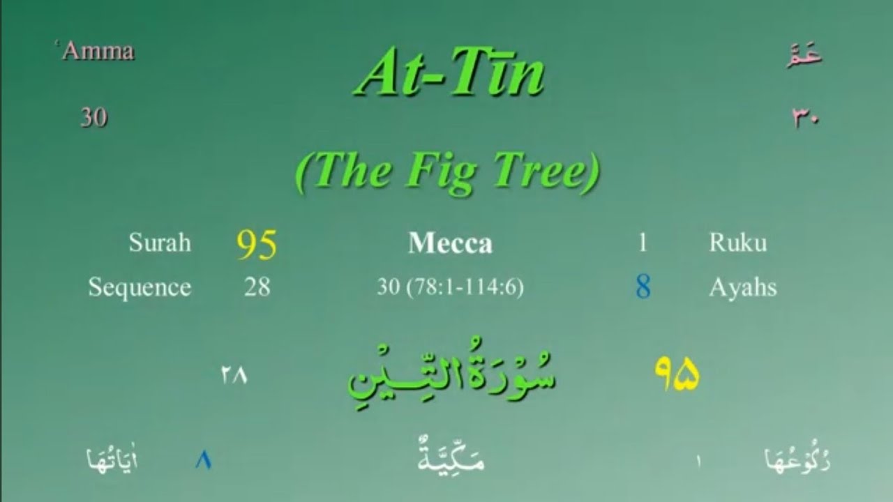 The Quran | 95. Surah At-Tin - The Fig Tree - YouTube