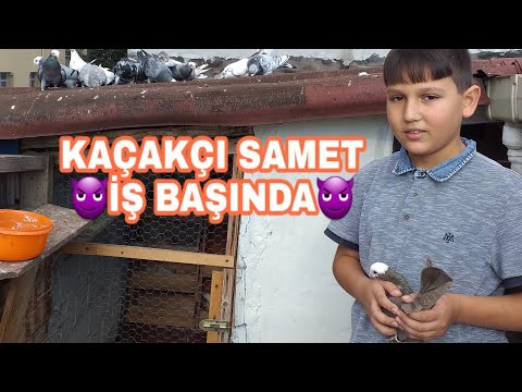 13 YAŞINDAKİ SAMETİN SÜRÜSÜNE BEREKET KUŞLARI