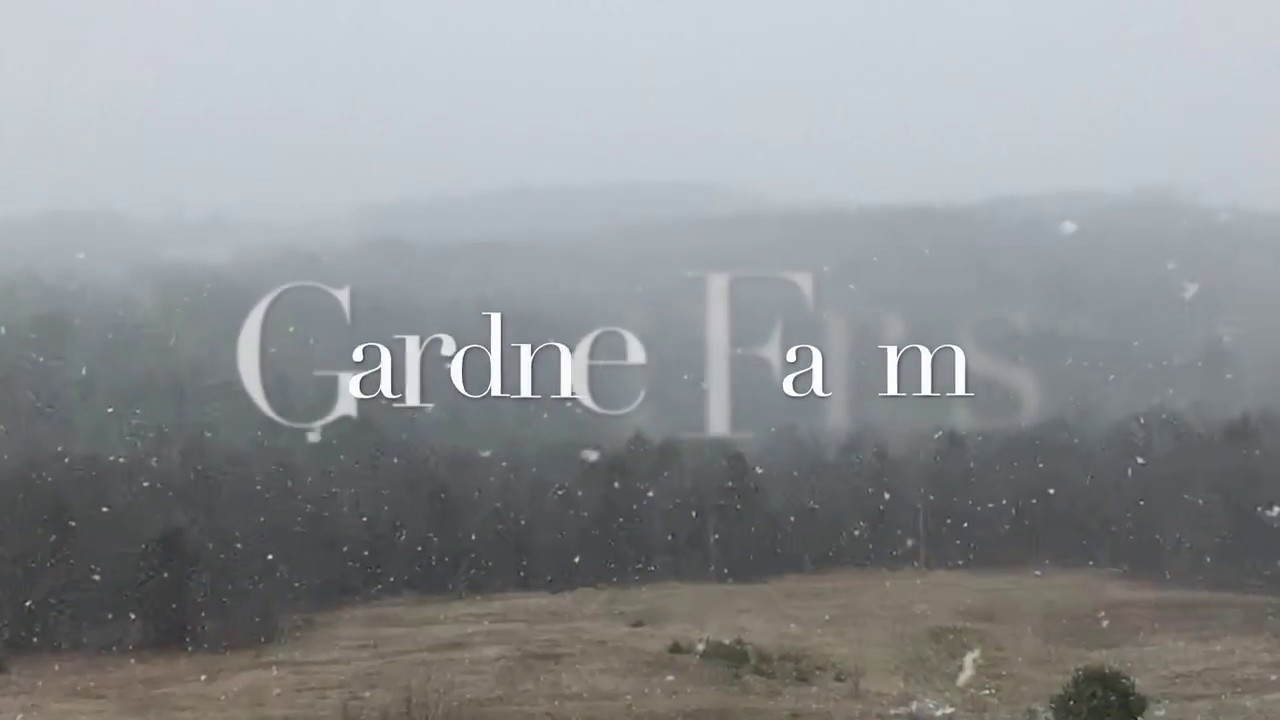 Frostys Christmas Tree Farm West Jefferson Nc Zip Code