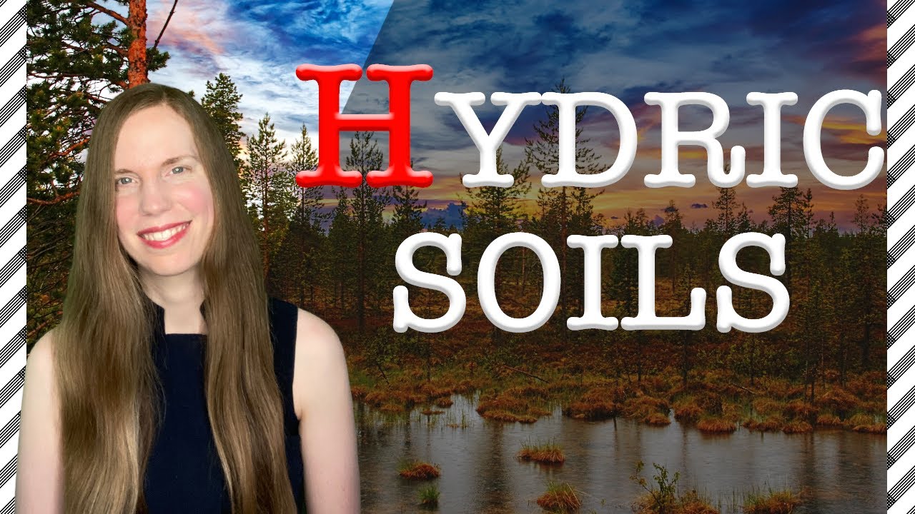 HYDRIC Soils: 8 Things You Should Know - YouTube