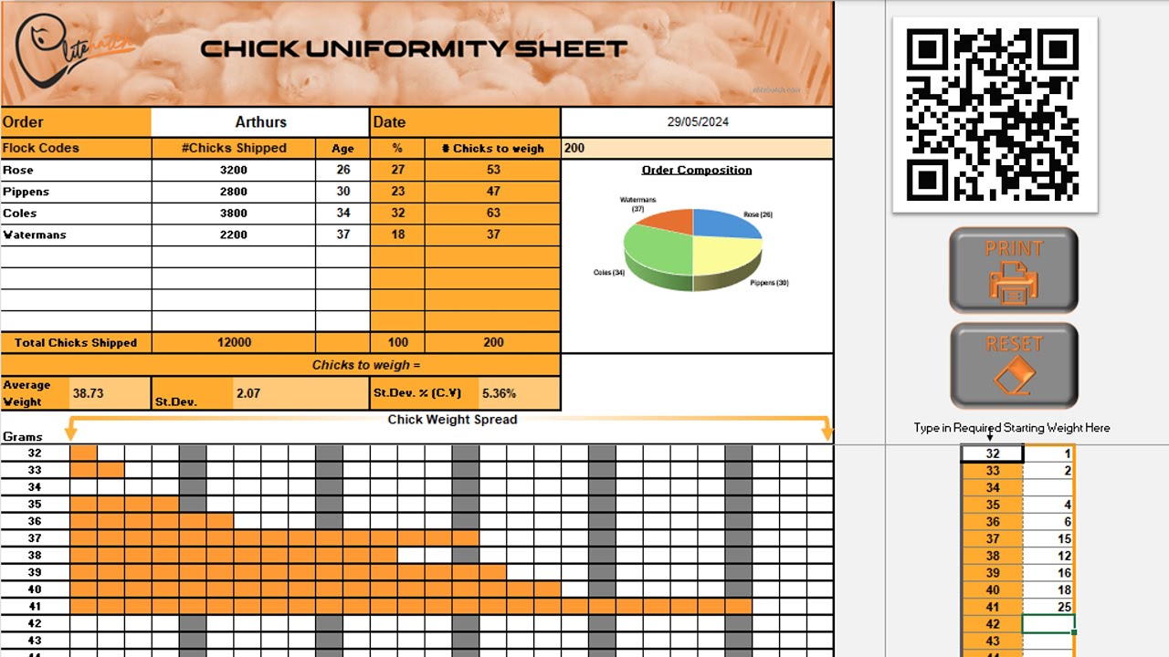 Chick Order Uniformity Sheet - YouTube