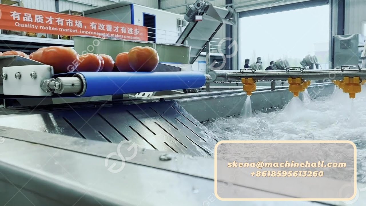 Ozone Fruit And Vegetable Washing And Drying Machine - YouTube