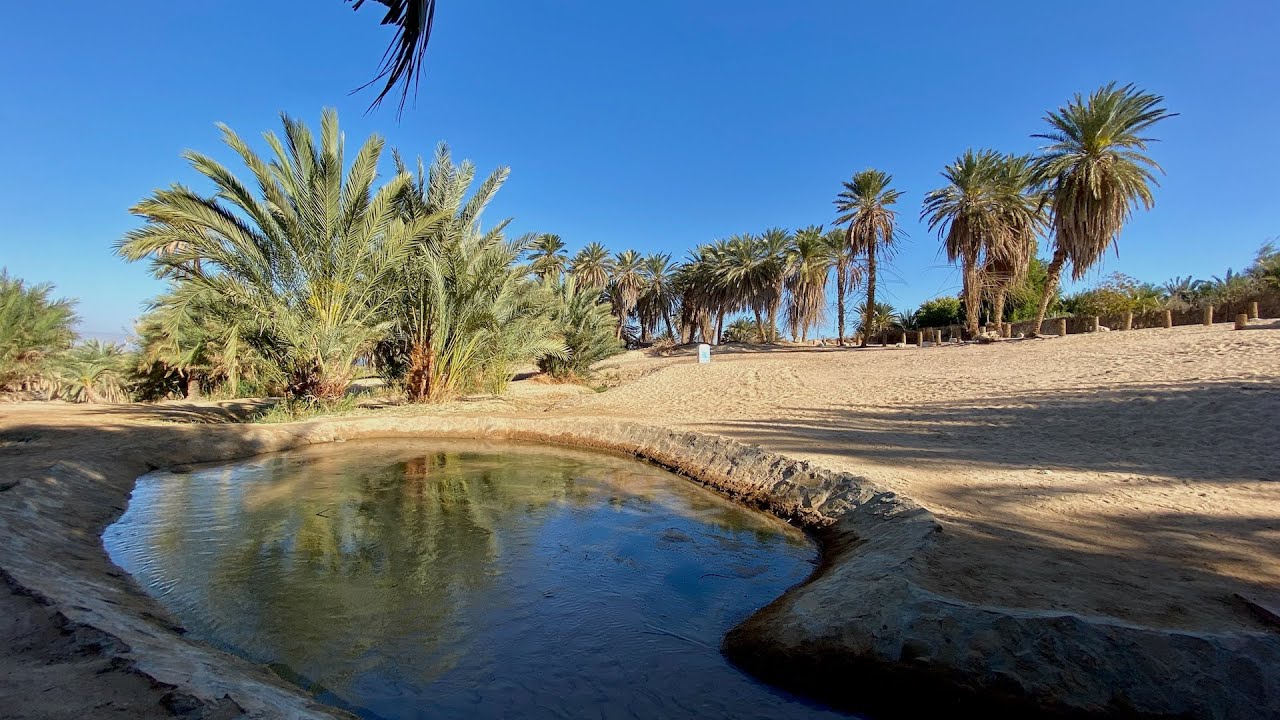 🇸🇦 12 SPRINGS OF MOSES 🏞🌴🐑 | MAGNA OASIS 🧭 | LAND OF MIDIAN | EXODUS ...