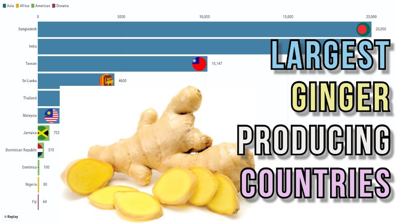 Largest ginger producing countries - YouTube