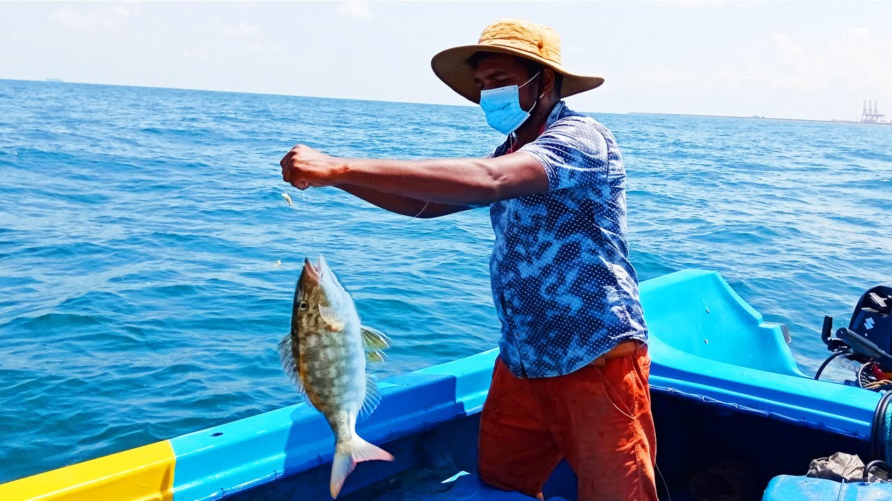 Snapper Fishes Catching At The Deep Sea (Amazing Fish Catching Skills ...