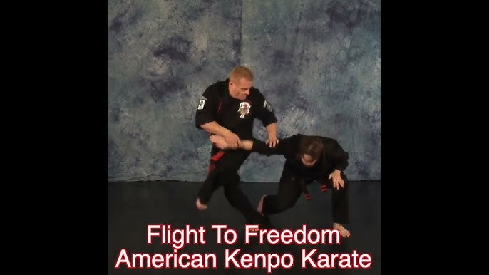 Kenpo Karate Techniques Akki Youtube