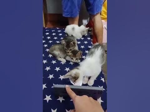 BUSY SILA PINAPANOOD NILA😂 ️/@Ka-Buang_Vlog - YouTube