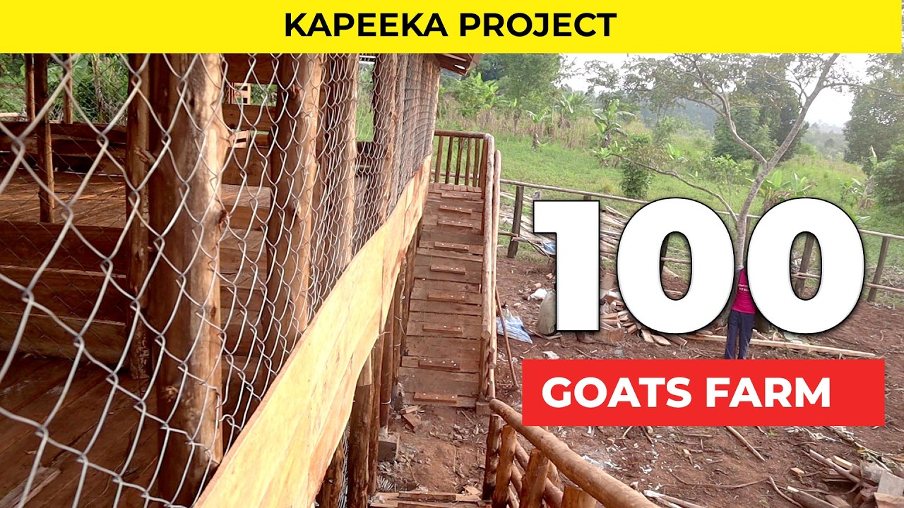How We Constructed a 100 Goats Structure in Kapeeka | 2024 - YouTube
