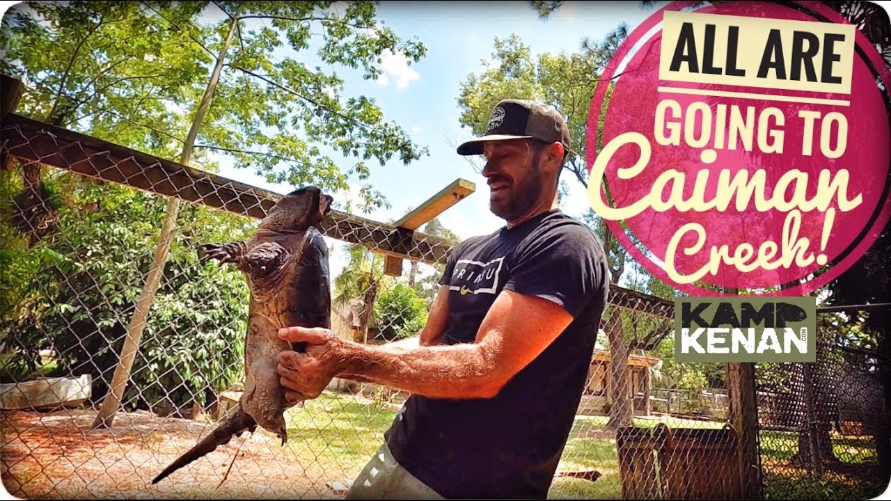 CRAZY Snapping Turtle Catching at Freds!! - YouTube