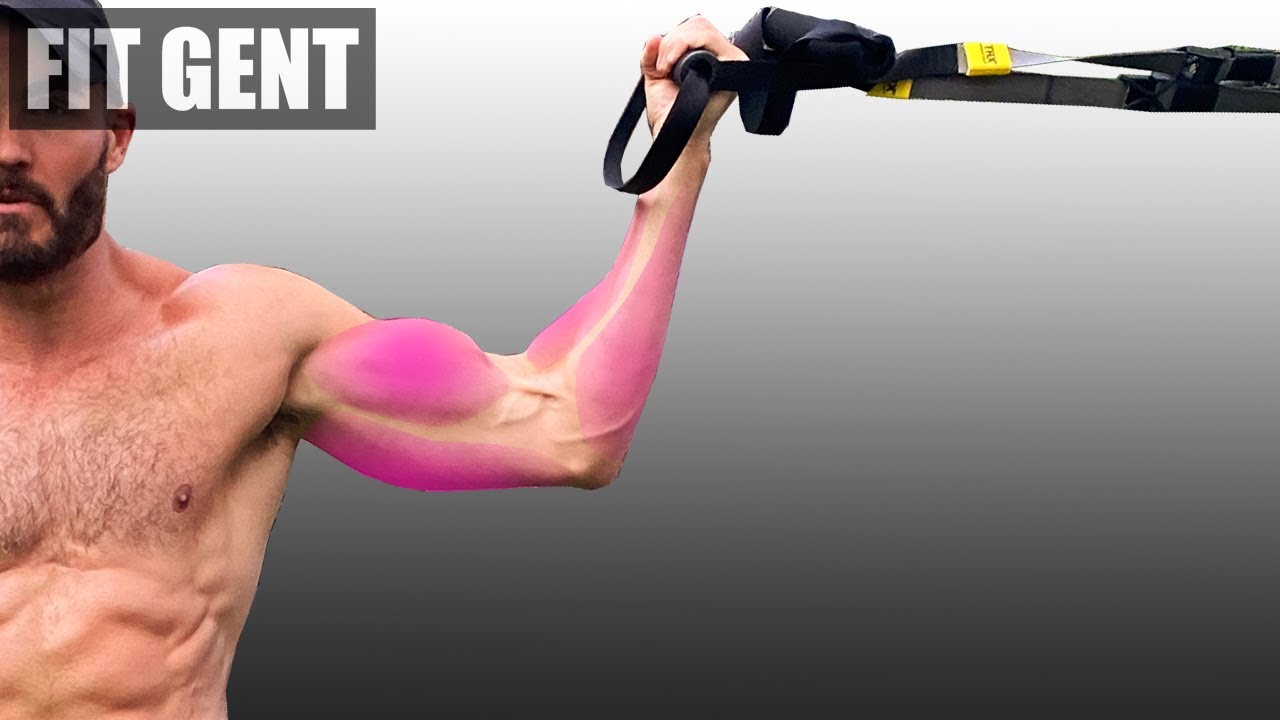 12 TRX / SUSPENSION TRAINER ARM EXERCISES - YouTube