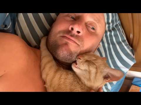 Proof That a Cat's Love is One of the Purest Things in the World