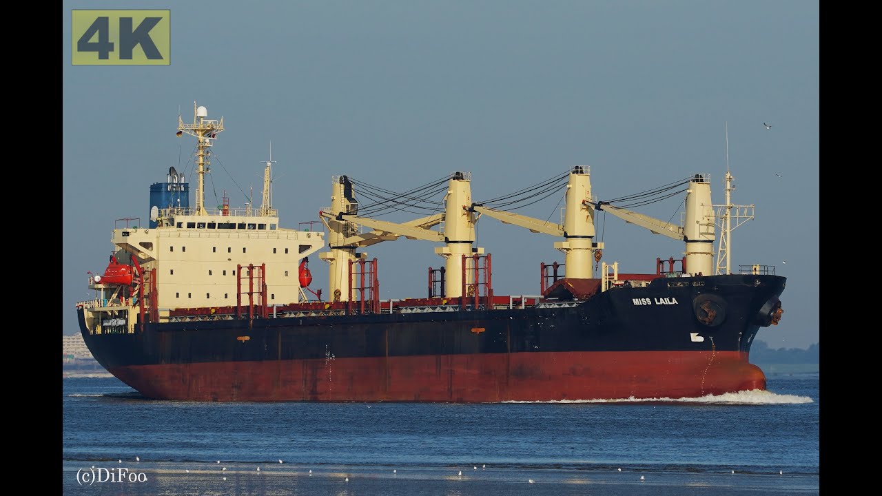 MISS LAILA - Shipspotting Germany 🇩🇪 IMO 9175913 - River Elbe near City ...