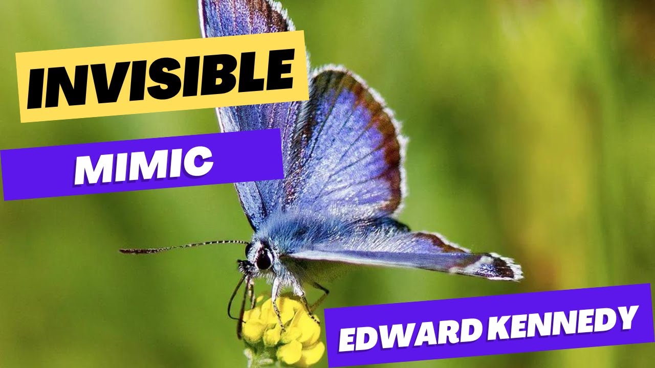 MÍMICA INVISIBLE * INVISIBLE MIMIC - YouTube