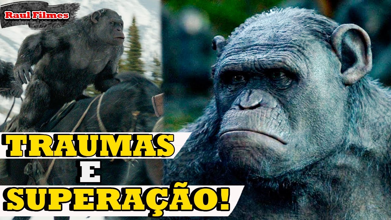 ROCKET HISTORIA COMPLETA! PLANETA DOS MACACOS! - YouTube