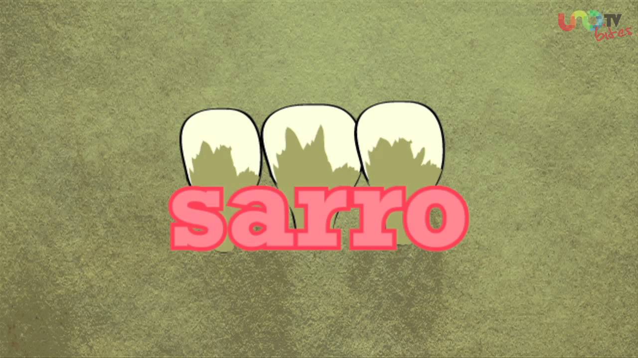 ¿Por qué tienes sarro? - YouTube