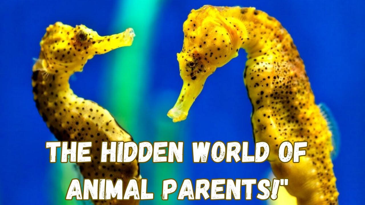 animals as a parents | The amazing World of Parental Care in Animals ...