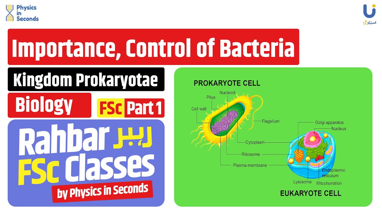 Biology - Importance, Control of Bacteria - FSc Part I - YouTube