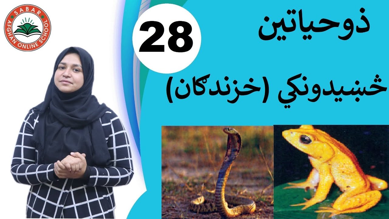 Class 8 - Biology - Lesson 28 | Amphibian - ذوحیاتین - YouTube