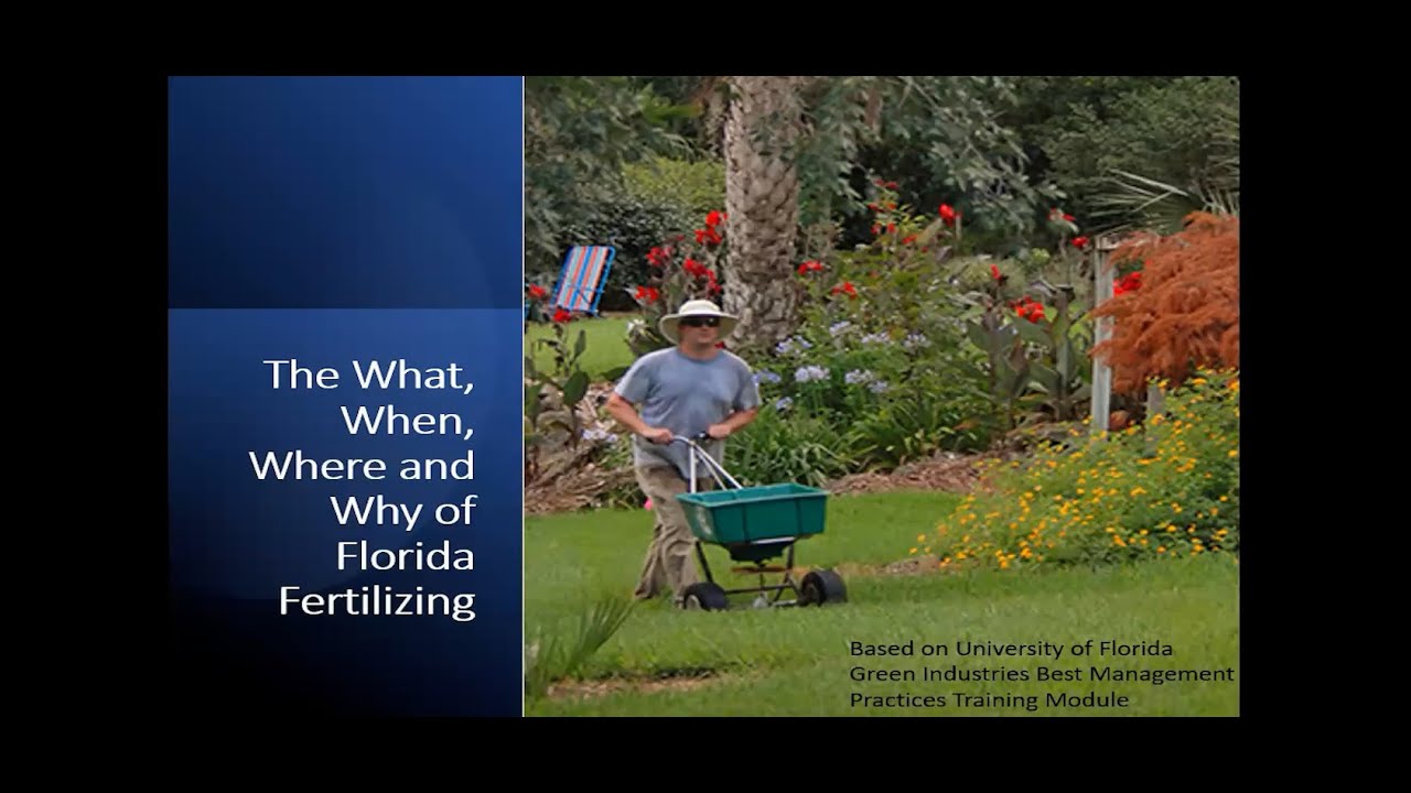"What, When, Where and Whys of Fertilizing Florida Yards" - YouTube