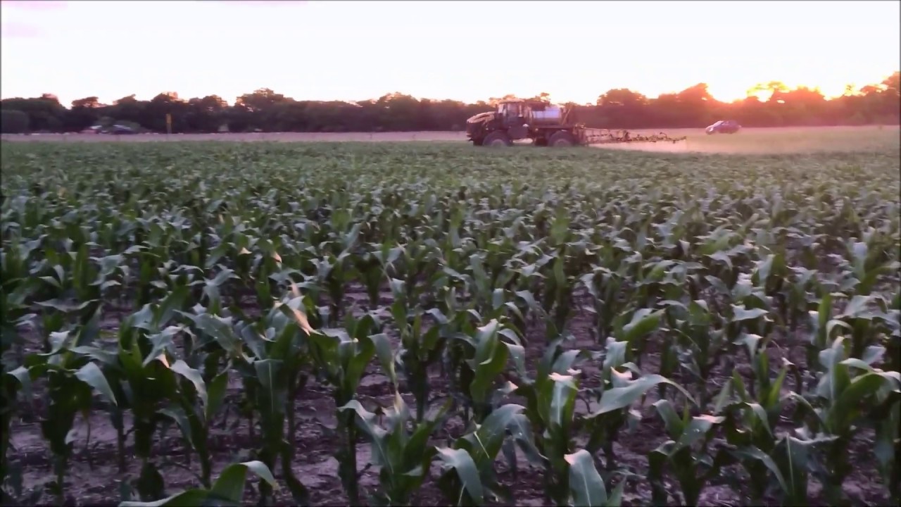 Inland View Farm - 2019 Spraying Corn - YouTube