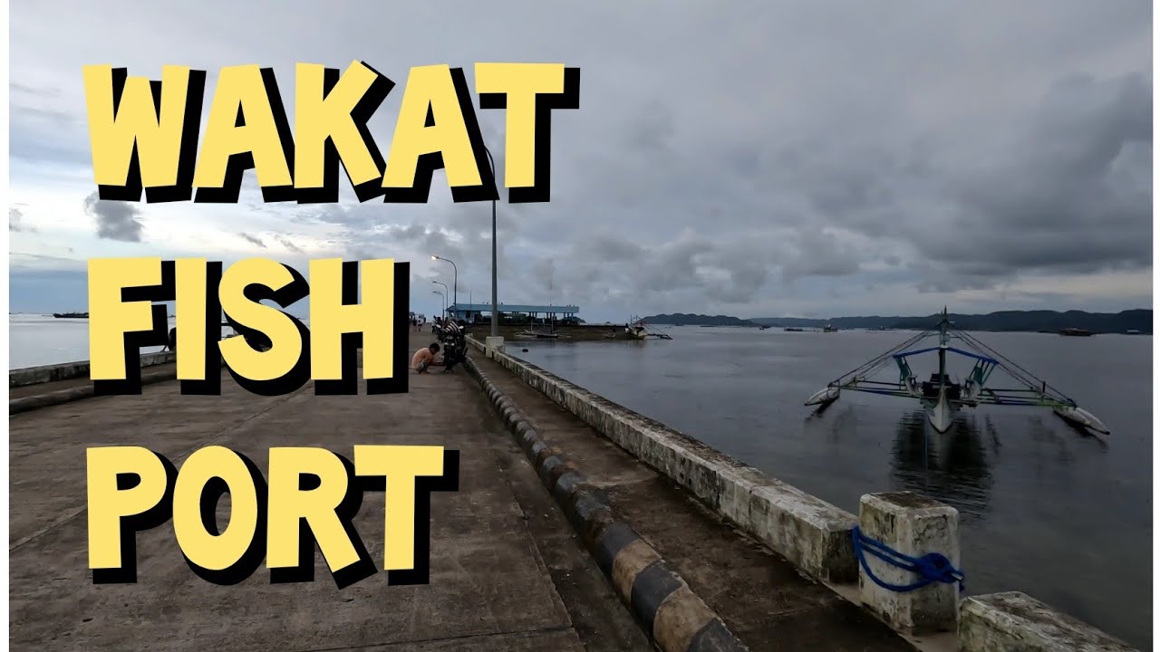 Walking Tour - Wakat Fish Port, Barobo, Surigao del Sur - YouTube