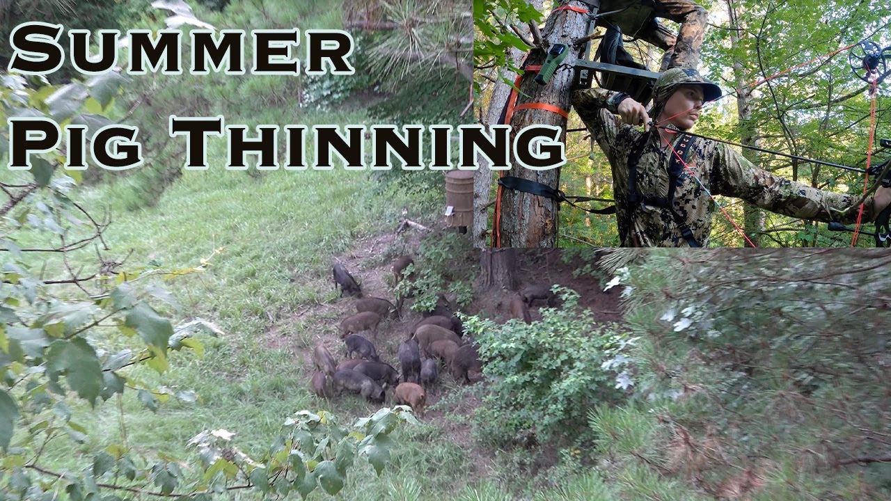 Texas Heat! | Summer Hog Hunting - YouTube