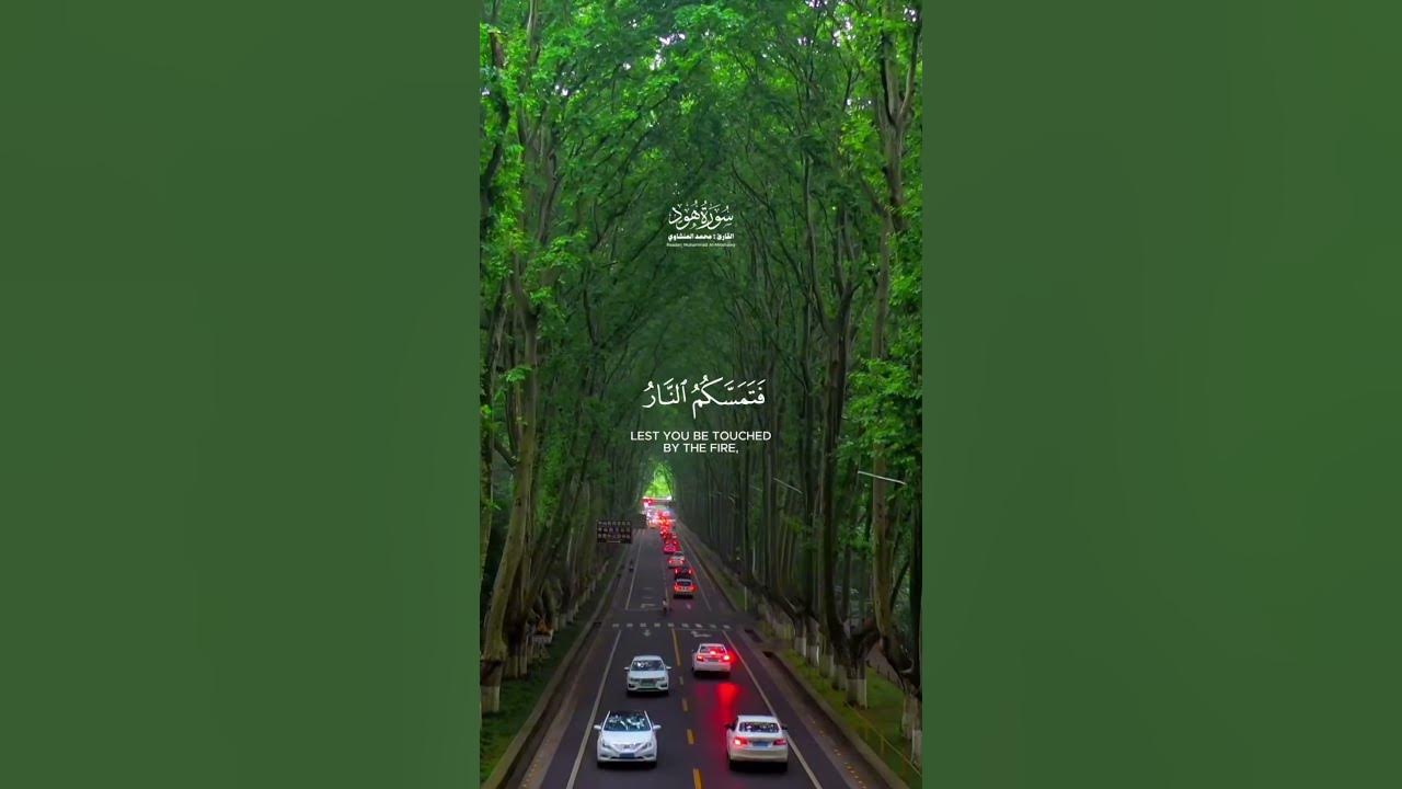 { ولا تركنوا الى الذين ظلموا فتمسكم النار } تلاوة خاشعه للقارى محمد