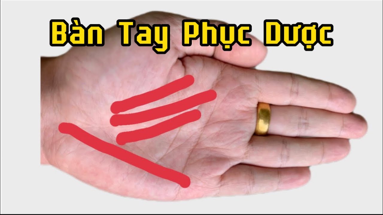Cuộc đời và dấu hiệu nhận biết của những người có Bàn Tay Phục Dược ...