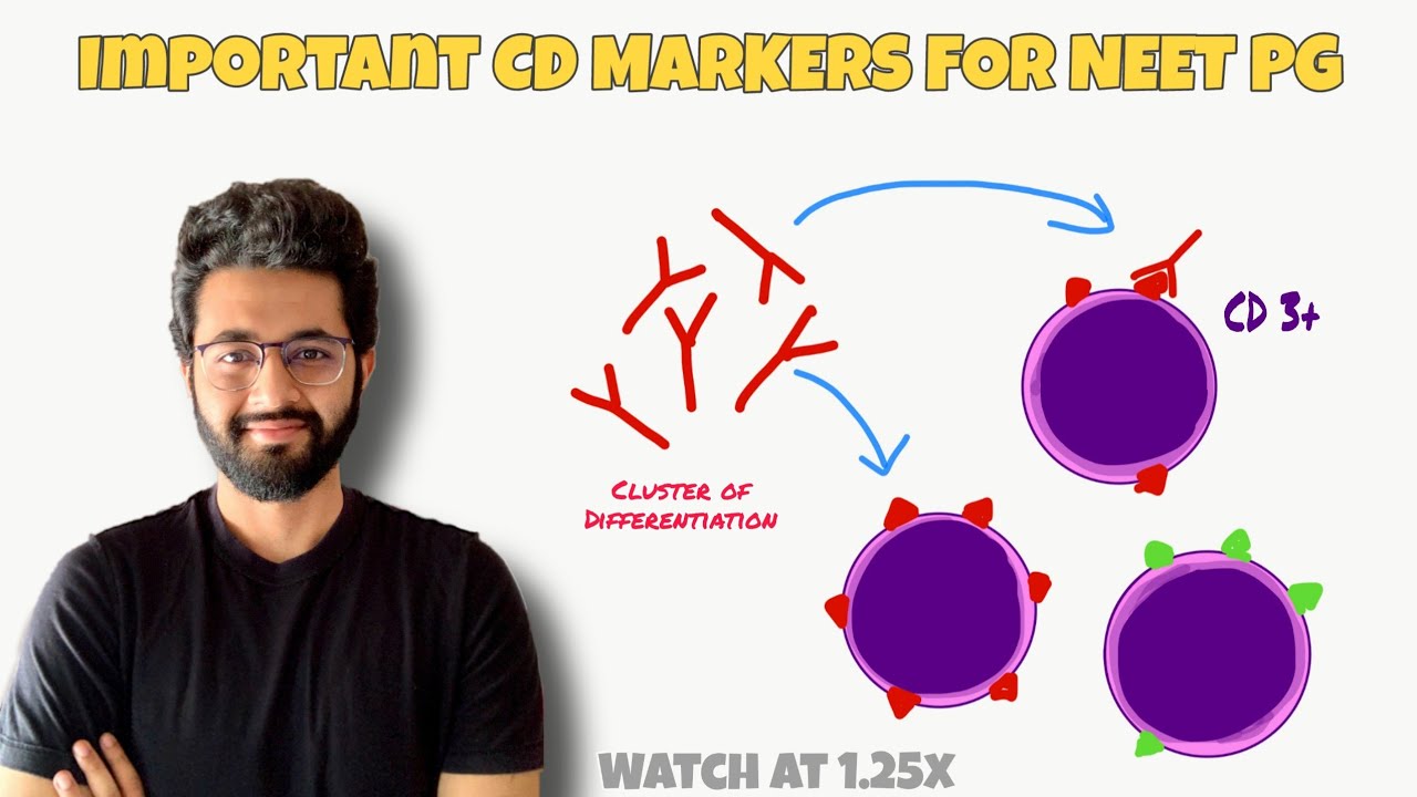 Important CD Markers - Pathology - NEET PG Essentials - YouTube