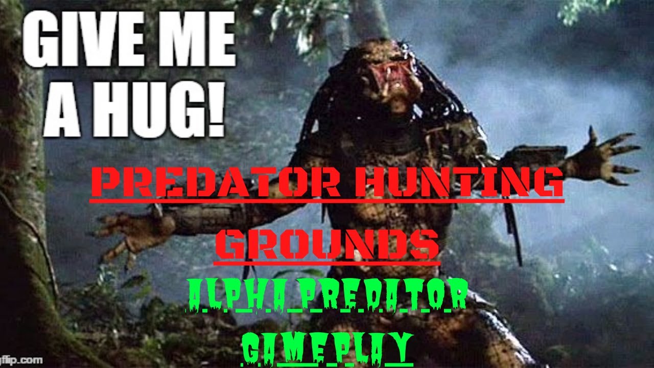 Predator Hunting Grounds || Alpha Predator Gameplay - YouTube