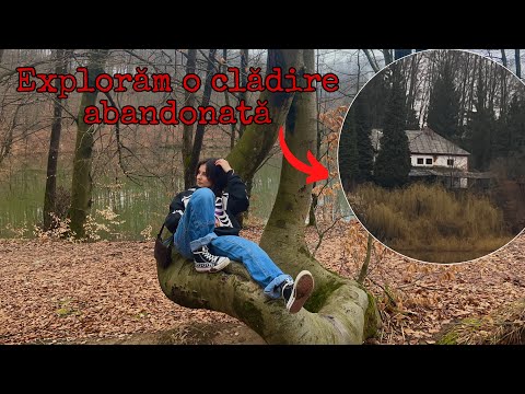 Cel mai HAOTIC vlog | Andreea Deea