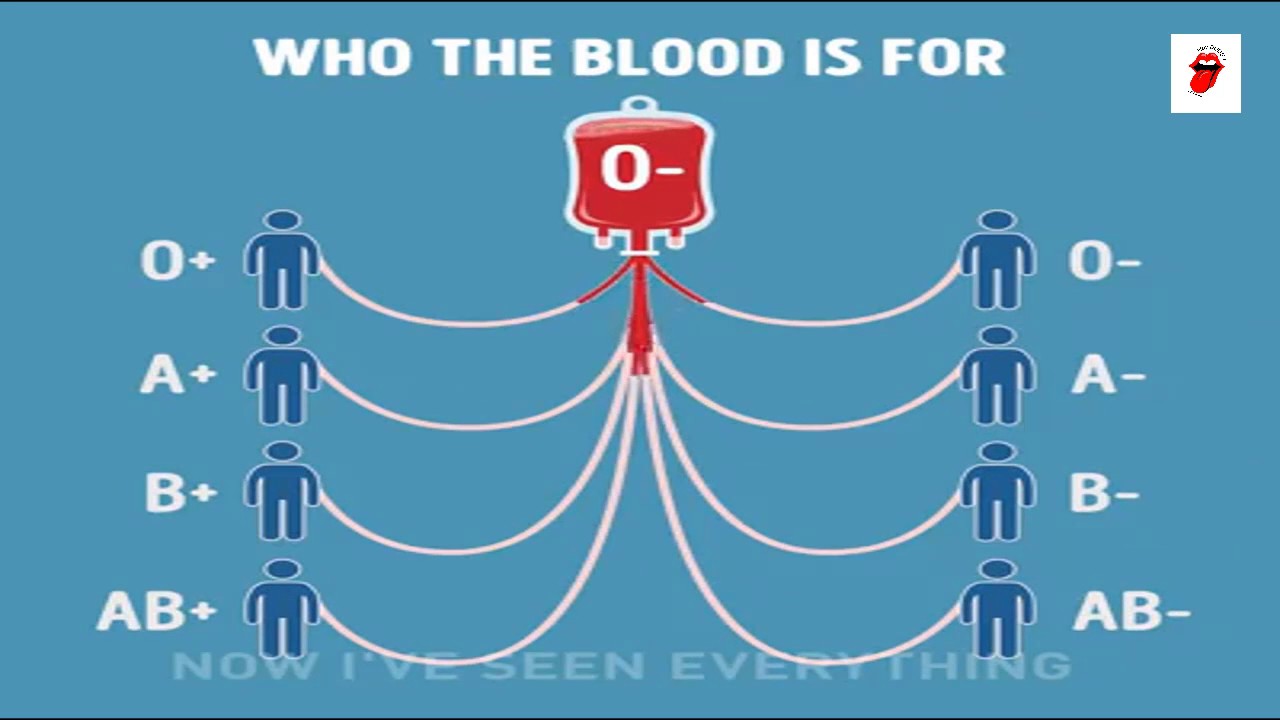 What Do Bloods Say To Each Other