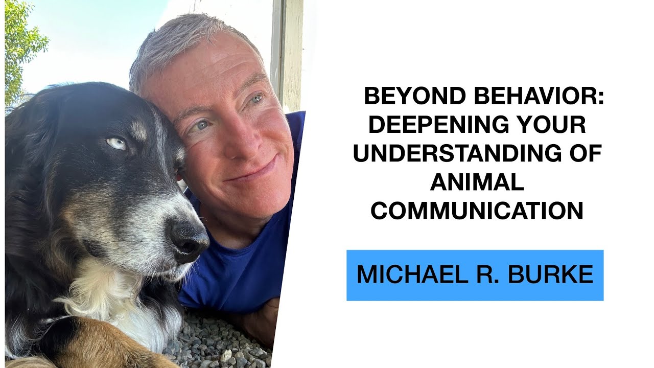 Beyond Behavior: Deepening Your Understanding of Animal Communication - YouTube