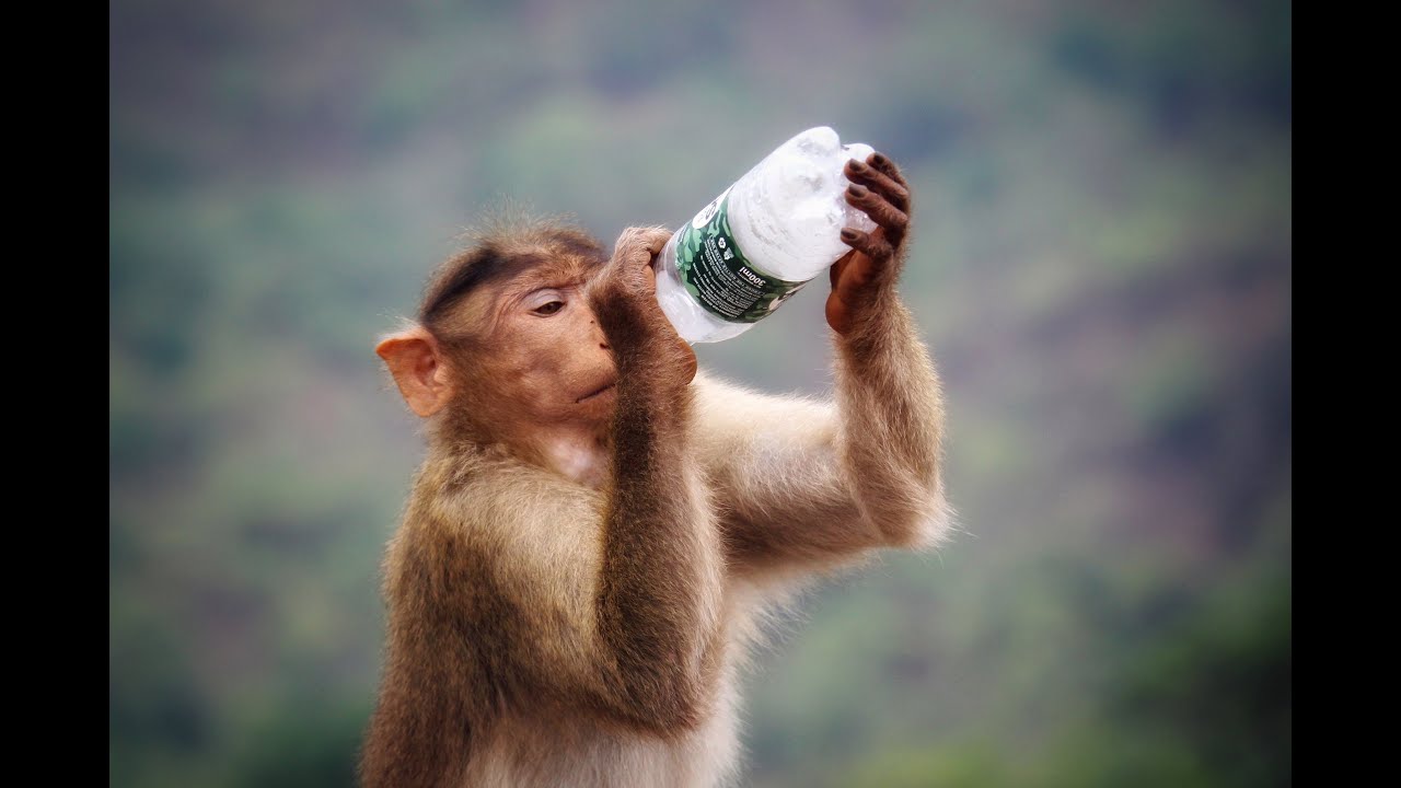 Forge Labs Parasite Mod Pack Playthrough Pt1 - YouTube