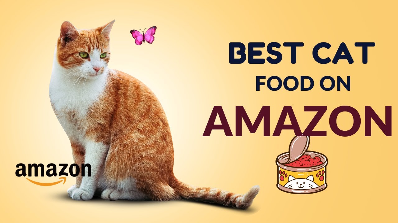 Best Amazon Cat Food Review 2024 - YouTube