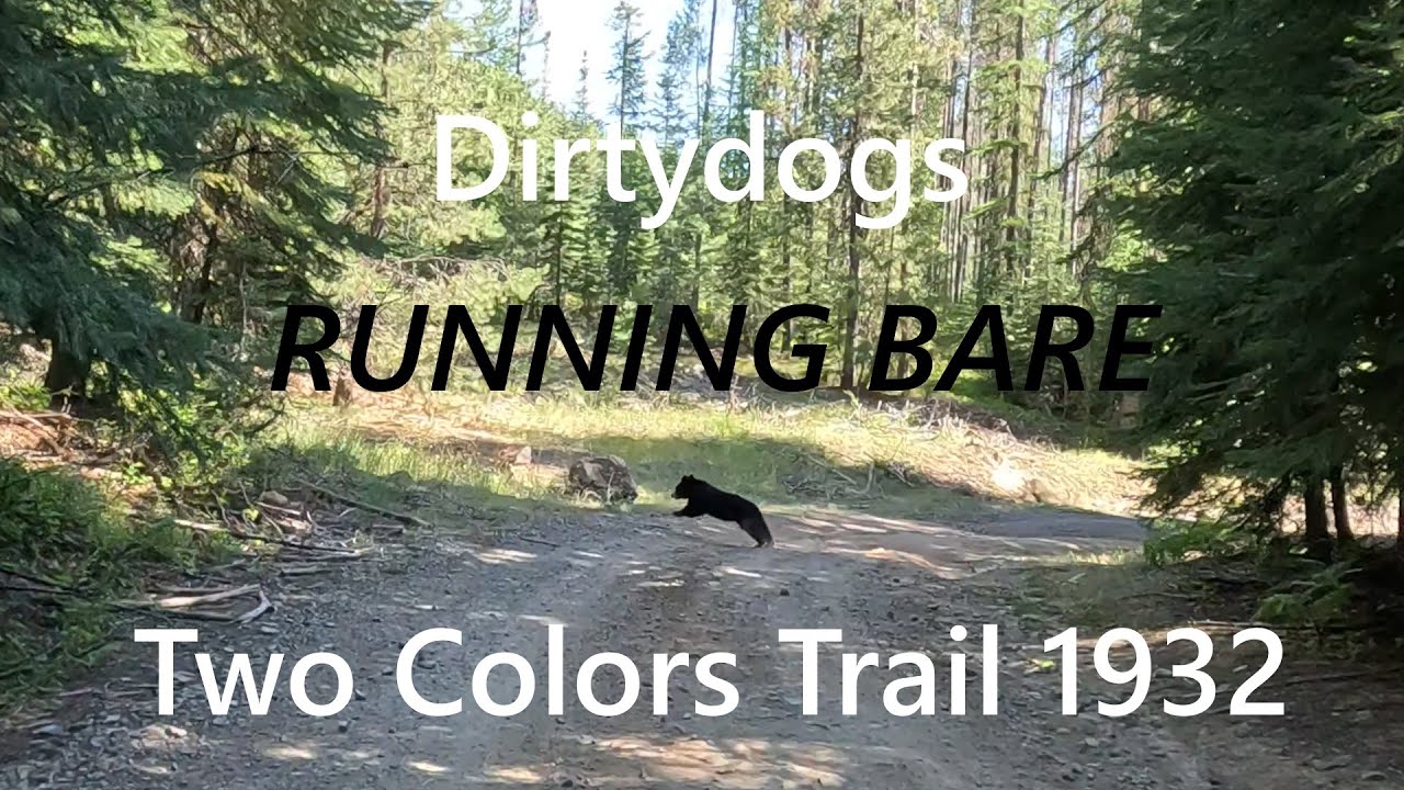 4K/TWO COLORS TRAIL 1932/EASTERN OREGON/MUTE LOOK OUT TOWER/ DRONE ...