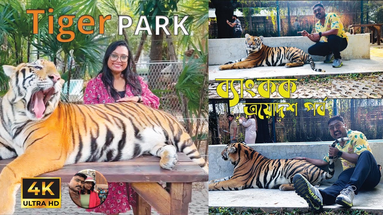 Tiger Park I Pattaya Beach I bangkok part 13 I Explorer Subhamoy - YouTube