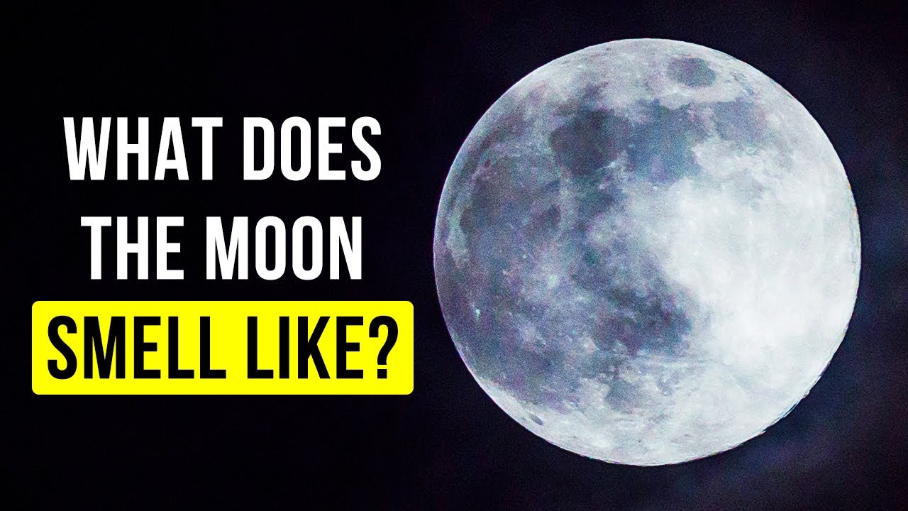 Does the Moon Has Its Own Smell? - YouTube