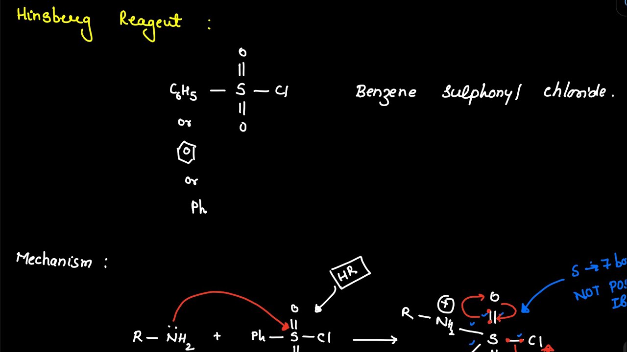 Hinsberg Test - YouTube