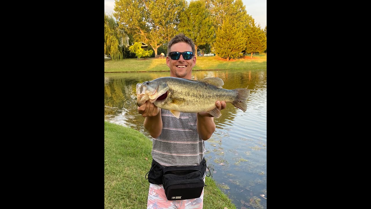 Texas pond fishing for largemouth bass - YouTube