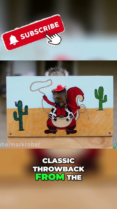 Clever Crows_ Solving Puzzles for Treats #news #mark #markrober #shorts ...