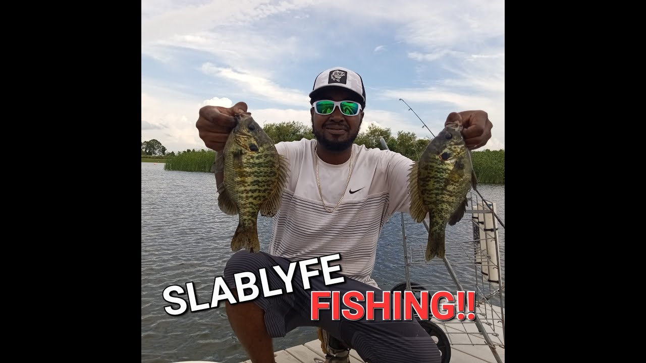 Red Ear Sunfish aka Shellcracker Fishing Early Fall in Sarasota F.L ...
