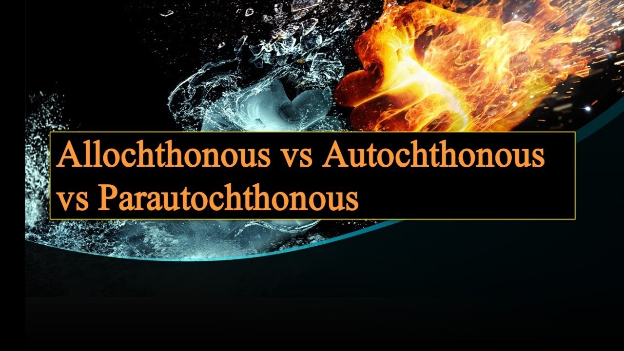 Allochthonous vs Autochthonous vs Parautochthonous | Along With ...