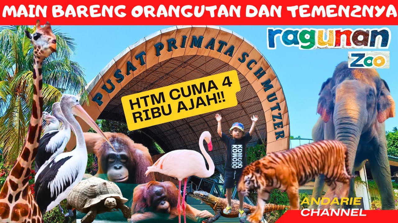 REVIEW TERBARU‼️ RAGUNAN ZOO | Tempat Wisata Legendaris Di Jakarta ...