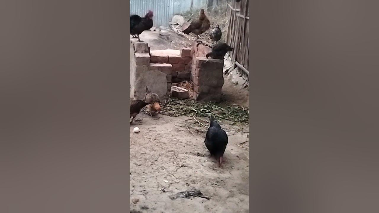 21 January 2025 - YouTube