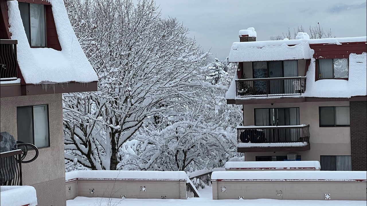 4K 】Morning Snow walk in Central park Burnaby Canada with crunching ...