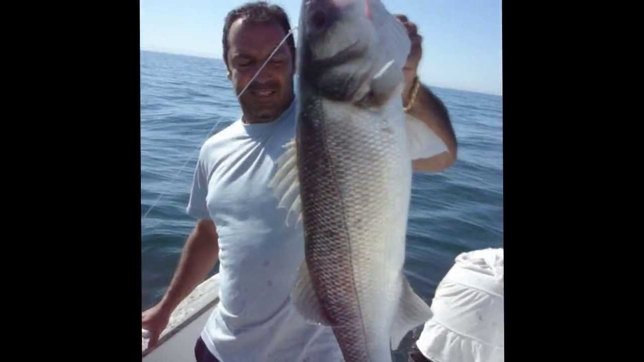 Pesca en cadiz de pargos y corvinas. - YouTube